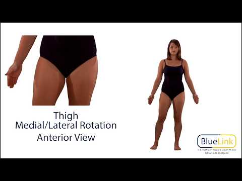Thigh Medial Lateral Rotation