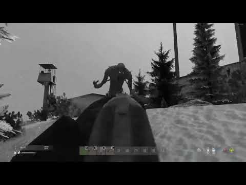 Steam Community :: DayZ