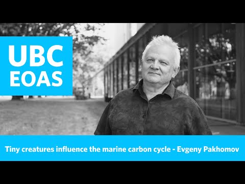 How tiny creatures influence the marine carbon cycle - Evgeny Pakhomov