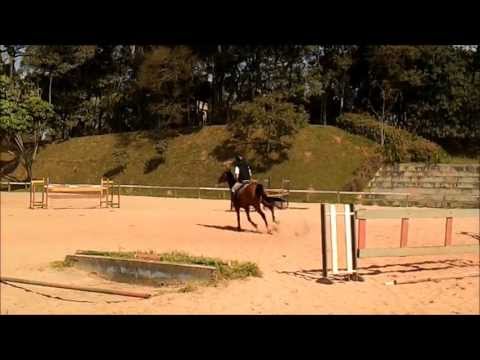 QH SL SERAPHIM