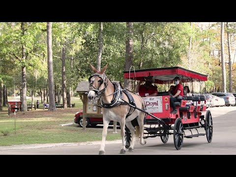 Royal Carriages Covington Tour featuring Mayor Mark Johnson