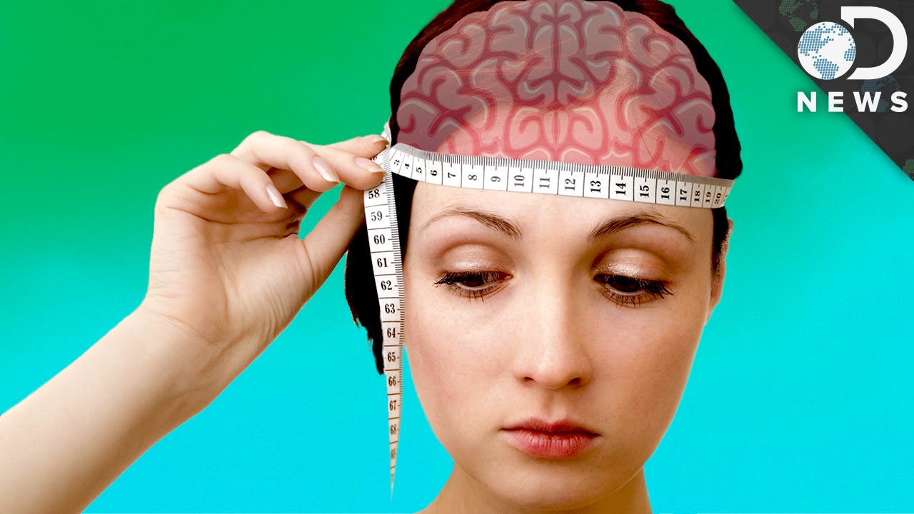 Does The Size Of Your Brain Matter?