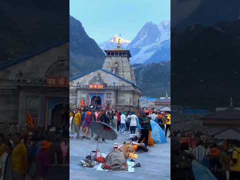 Kedarnath Dham ????❤️#viral #dharm #kedarnath #kedarnathtemple #trend #kedarnathvlogs