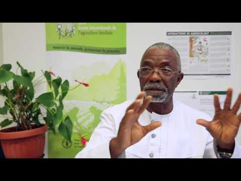 Interview with Godfrey Nzamujo (Songhai) at the Agroecology Symposium