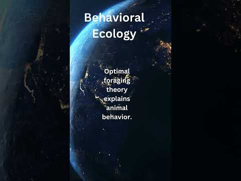 Understanding Animal Behavior: Optimal Foraging Theory & Predator-Prey Dynamics in Ecology