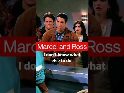 Marcel Swallowed a Scrabble tile | Marcel and Ross | Ross and Chandler | #shorts