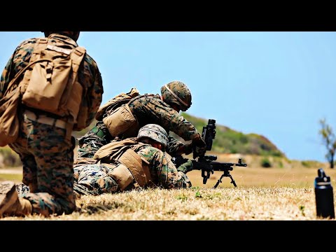 US Marines From 1st Battalion Firing M240B Machine Guns From Range During (TW24)