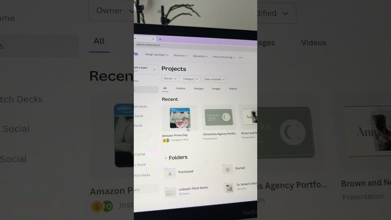 How to Organize Your Canva Designs