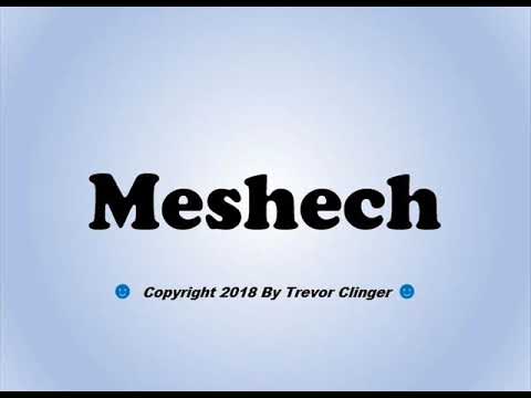 How To Pronounce Meshech