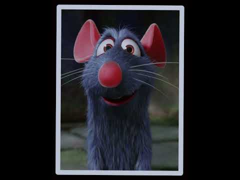 Cool pictures of rat be like #memes #amazingmemes #funnymemes #meme #funny #funnypictures #edit