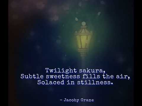 Haiku – Cherry Blossoms at Night | Fukurōu-san Poetry