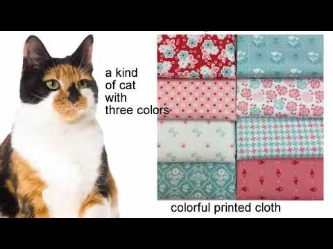 calico meaning | Vocabulary for Kids | Children's Dictionary | Learn English Vocabulary