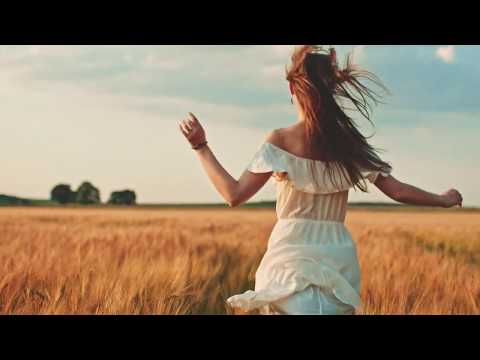 Snowy White - Bird of Paradise