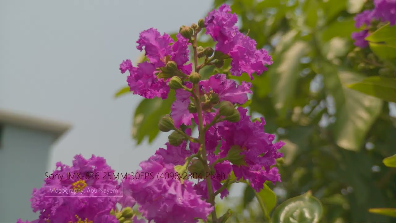 Sony IMX-896 (F-1.8) 25MM 30FPS (4096x2304 Pixel) RAW Videography #smartphonevideography #sonyimx896