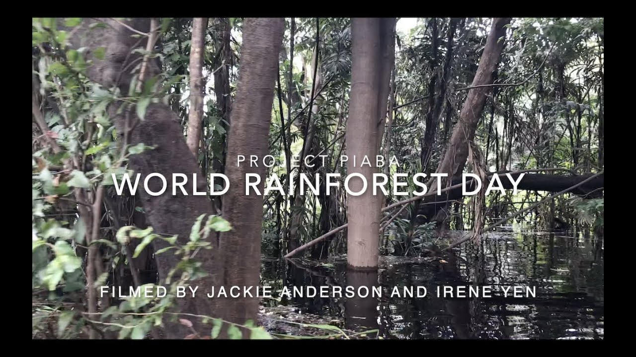 World Rainforest Day 2022