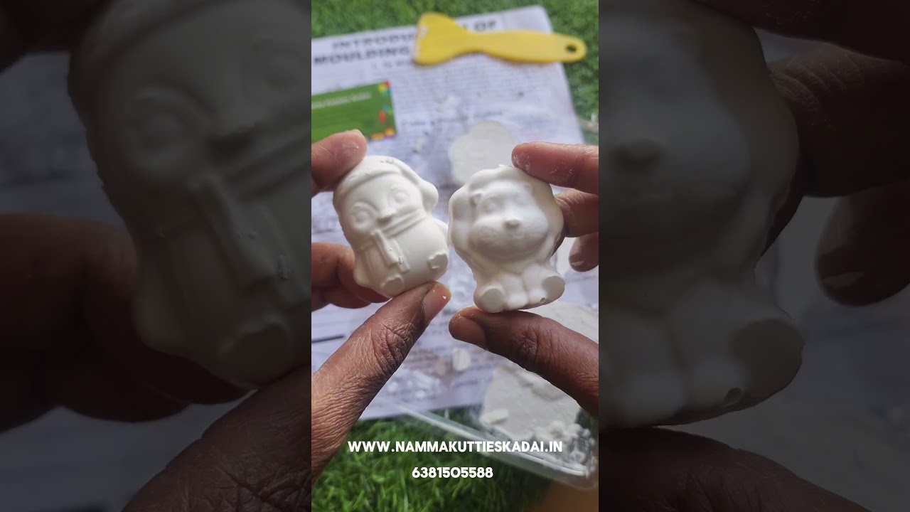 Animal Mould and paint