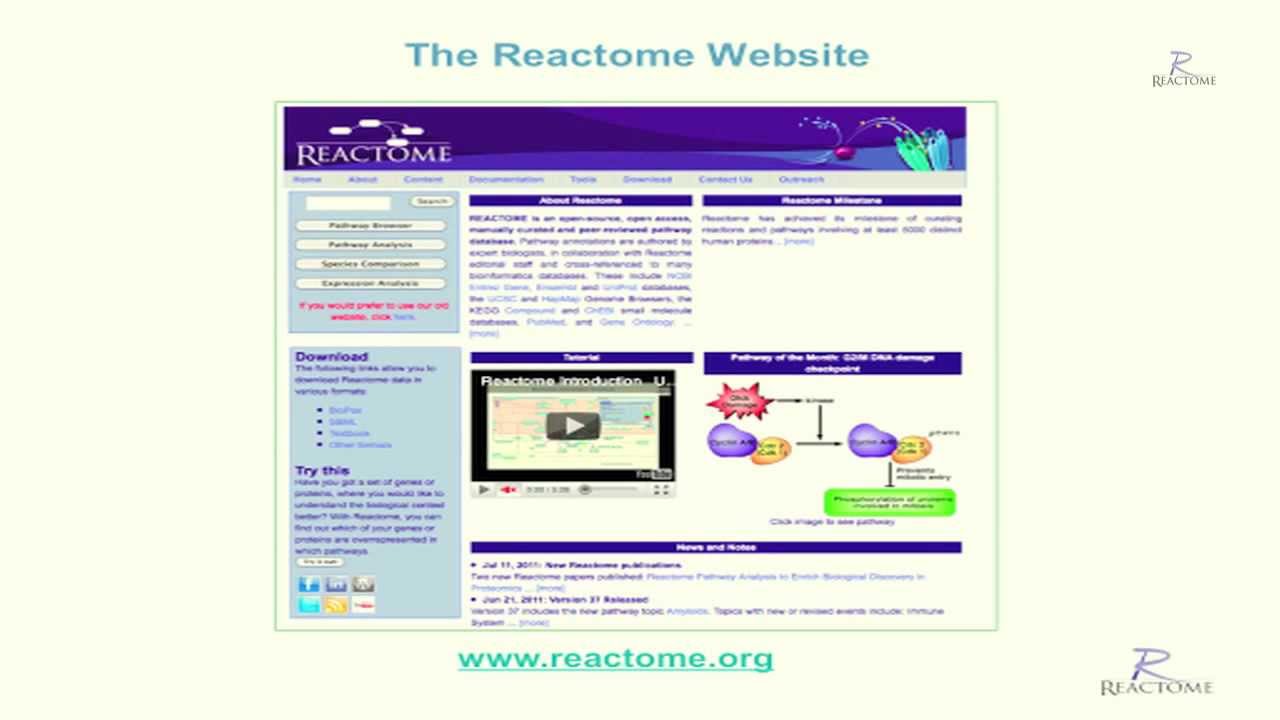Reactome Introduction