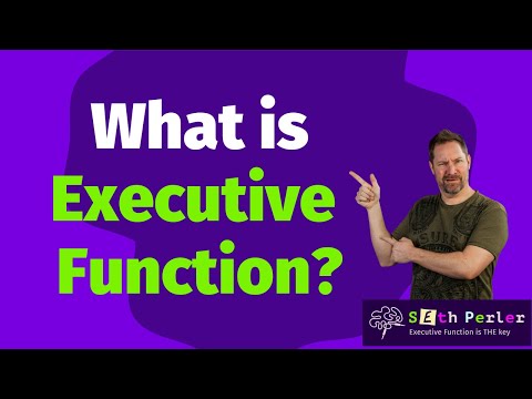 🧠What is EXECUTIVE FUNCTION, best intro ever! ðŸ§