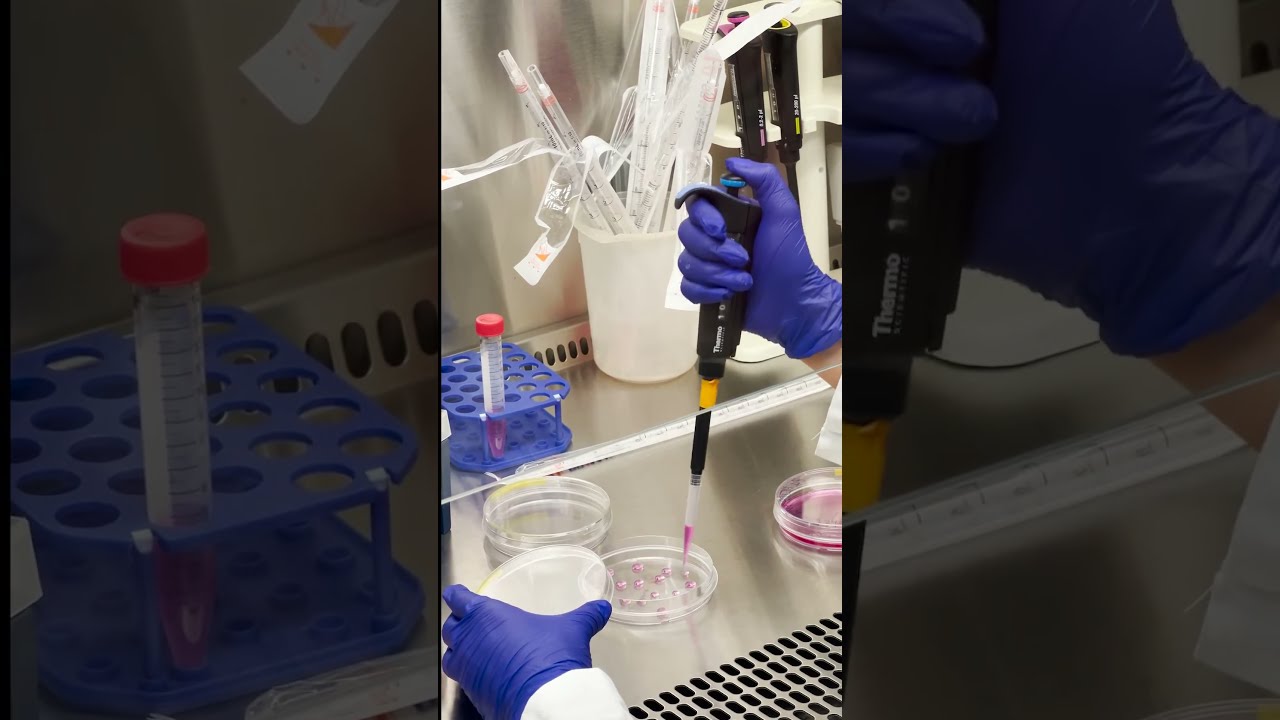 Undergraduate Research Award - Alexa Magstadt