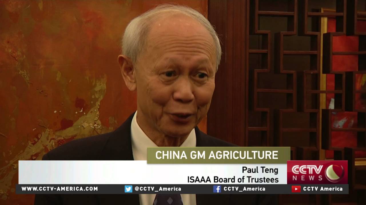 China maps out GMO crops industry development plan