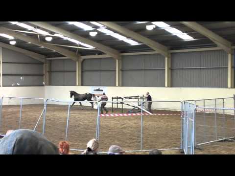 Goresbridge Sales