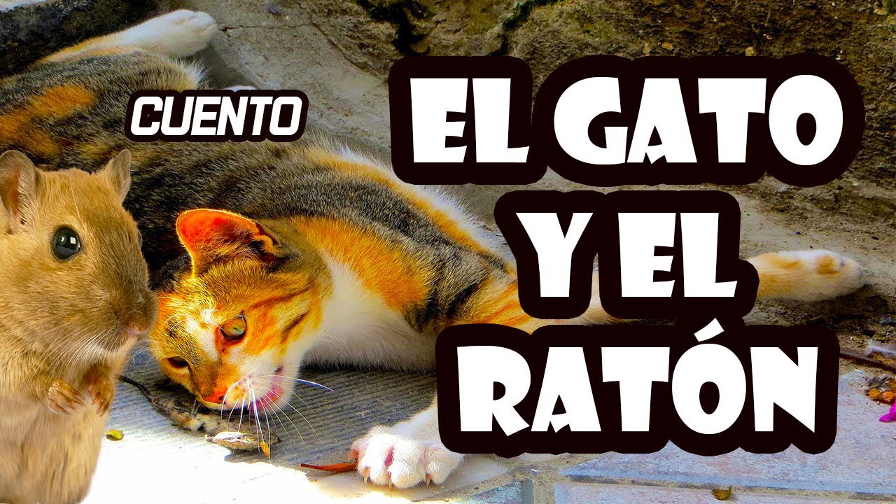 EL GATO Y EL RATÓN  (socios por un queso)  cuentos de tuyomio