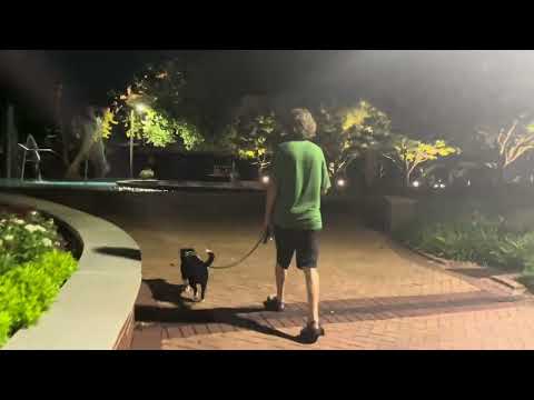 Is Cary NC The Safest City in the US? Late Night Walks #1 - Cary NC (E Johnson to Harrison)