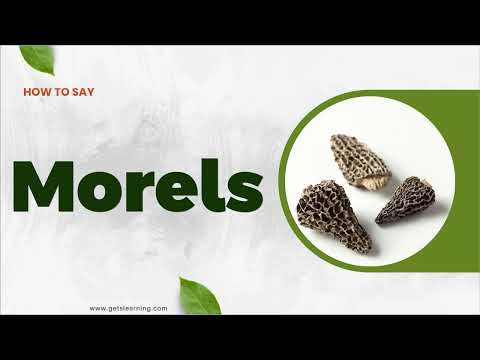 How to Say Morels in American Englsih