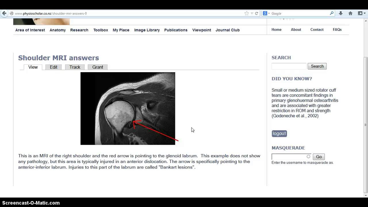 Image Library Instructional Video