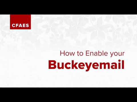 How to Set Up BuckeyeMail | Ohio State ATI