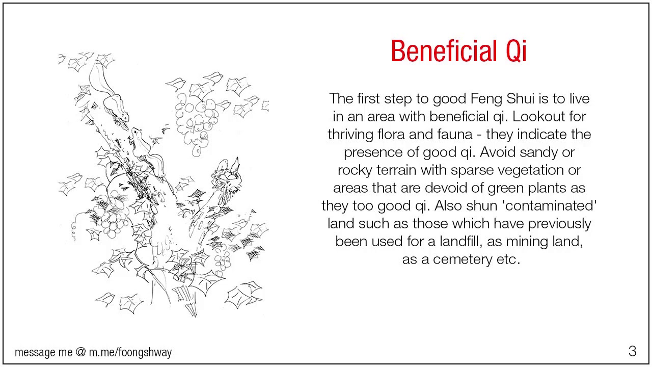 Feng Shui Buy House Guide 1: Essential