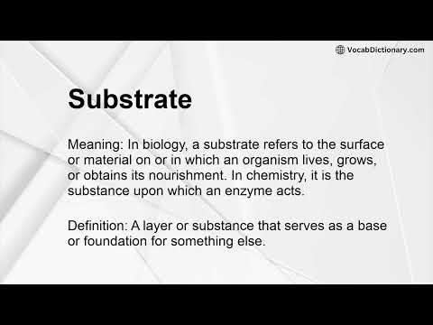 Substrate Meaning