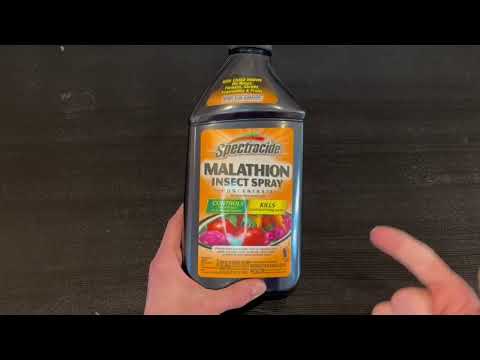 Spectracide Malathion Insect Spray Concentrate Honest Review