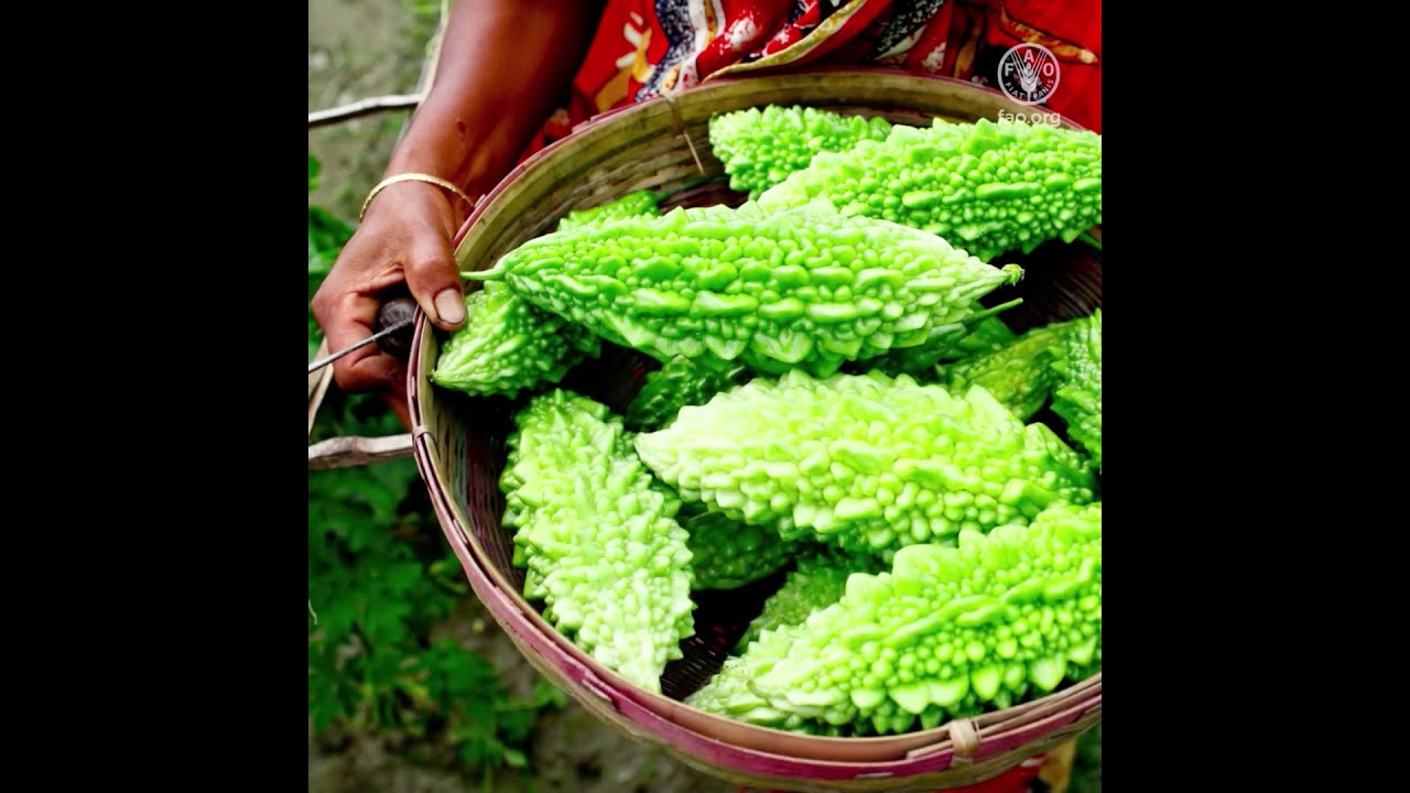 Framework for Boosting Intra-African Trade in Agricultural Commodities and Services