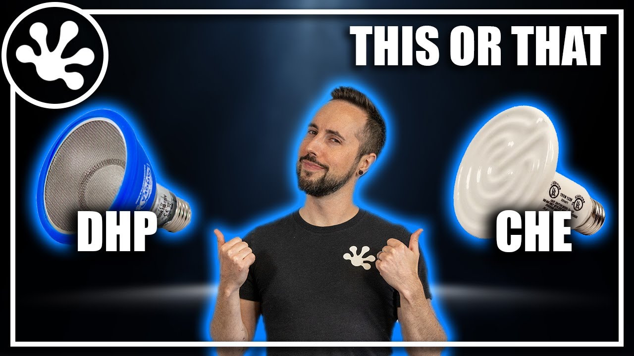 DHPs vs CHEs | This or That