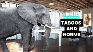 PeopleTeam - Taboos and Norms