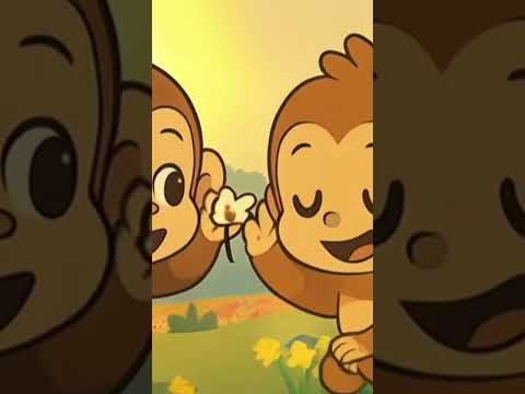 A Cute Monkey Gifted a Flower to His Friend 🌸🐵 #Shorts