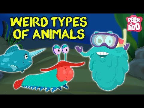 Weird Animals In The World - The Dr. Binocs Show | Best Learning Videos For Kids | Dr Binocs