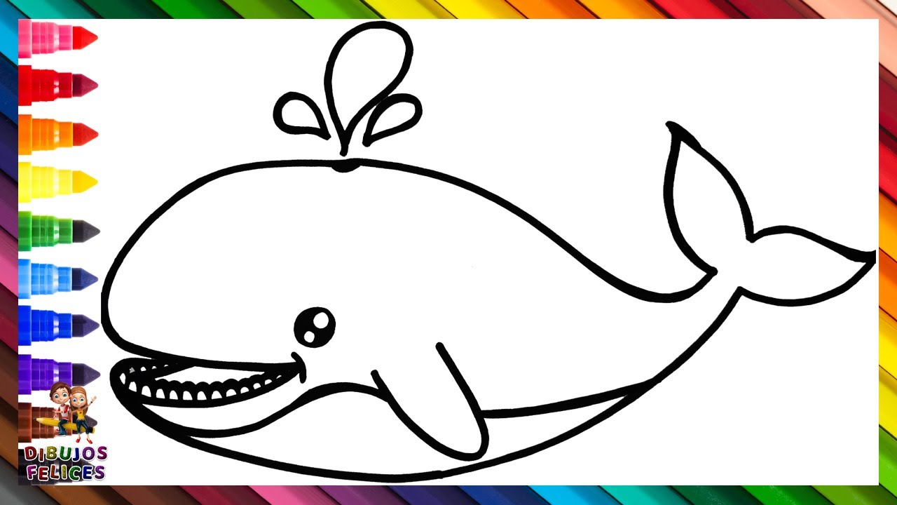 Dibuja y Colorea Una Linda Ballena 🐳🌊🌈 Dibujos Para Niños