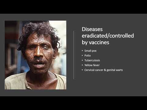 How Vaccines Work