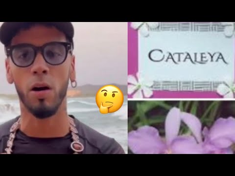 DEBIÓ ANUEL USAR EL NOMBRE DE CATALEYA? 🤔