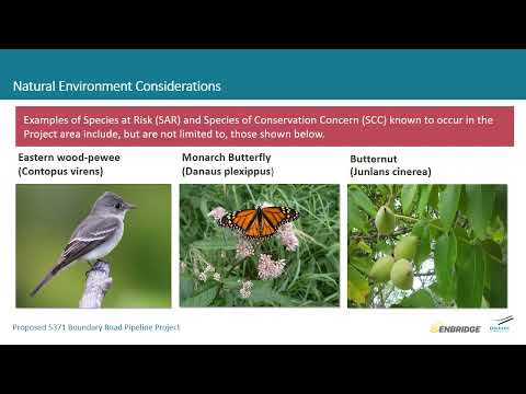 Virtual Information Session - Boundary Road Pipeline Project