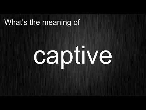 What's the meaning of "captive", How to pronounce captive?