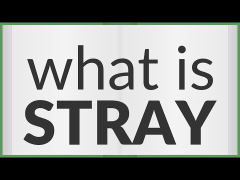 Stray | meaning of Stray