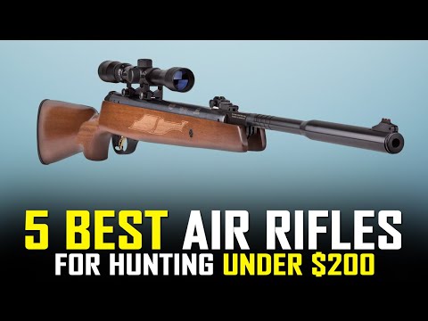 5 Best Break Barrel Air Rifle for Hunting Under $200 (2021)