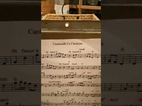 Intro to Irish Lament Aiden 11/22