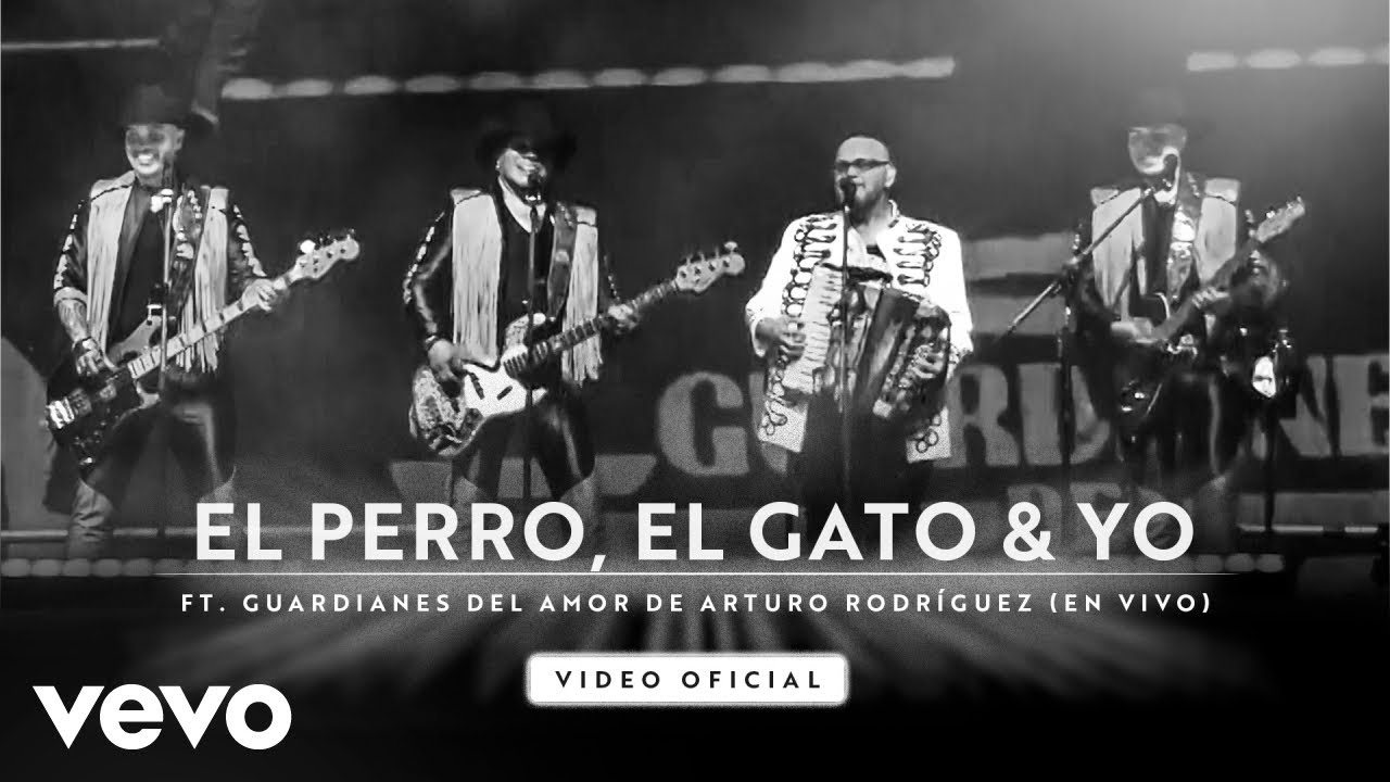 EL PERRO, EL GATO Y YO by Bronco from Mexico | Popnable