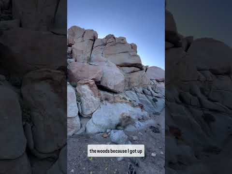 Day 138 of the border to border calendar year triple crown #at #pct #cdt #thruhike