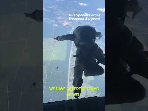 U.S Army Halo / Free Fall Team