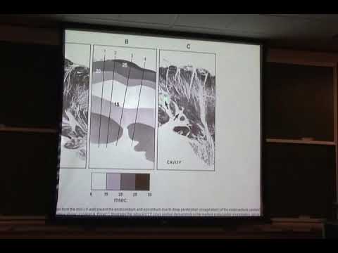 CBAC Seminar - Melvin Scheinman, M.D., F.H.R.S., January 25, 2010
